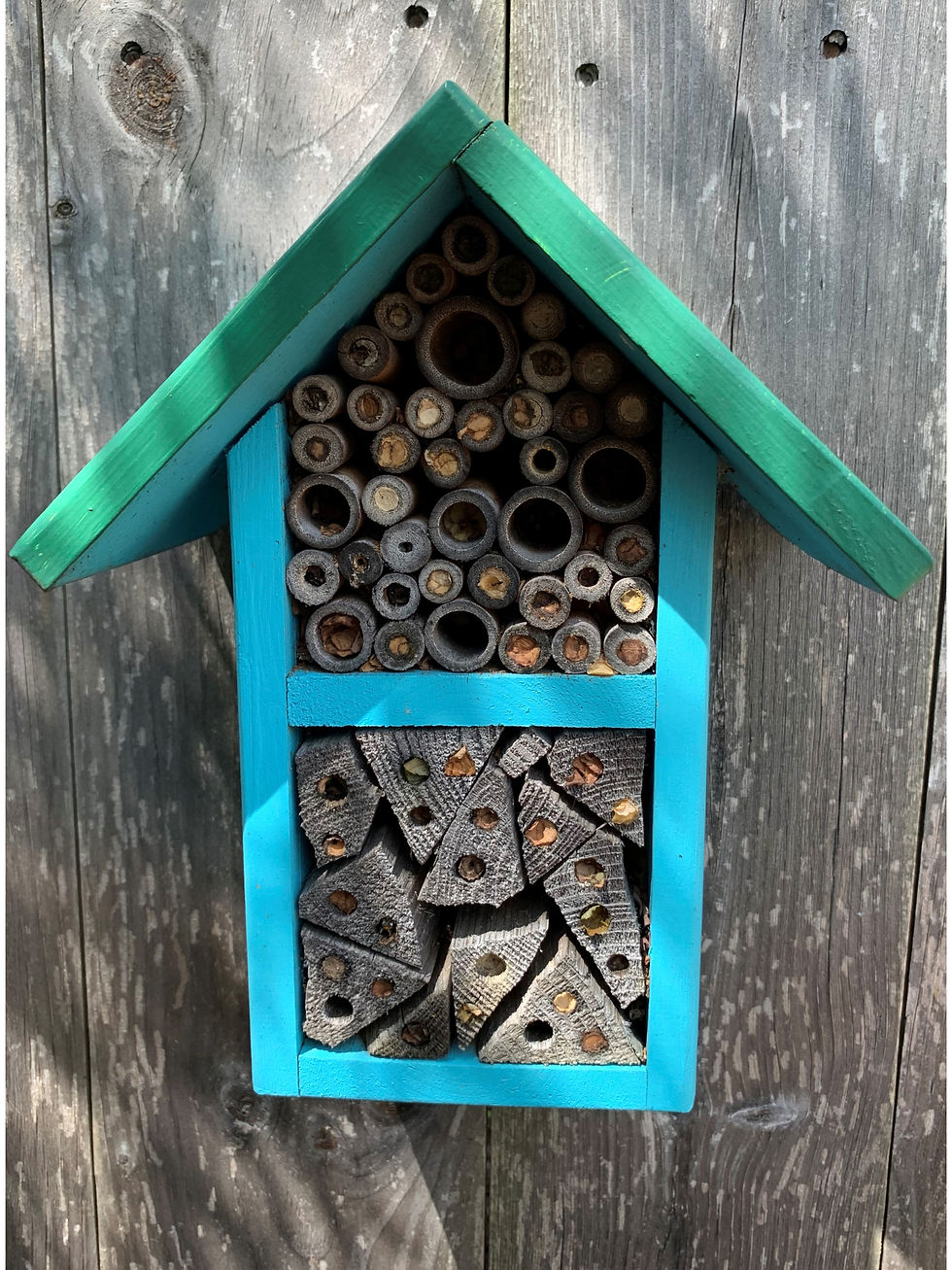 Construct a Stem Bundle | Native Bee Citzen Science Program | Planet Bee